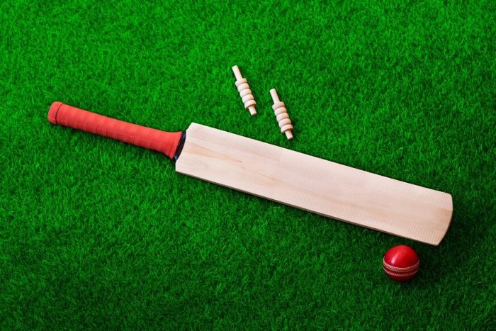 The Essential Cricket Equipment to Step Up Your Game - LovingLocal